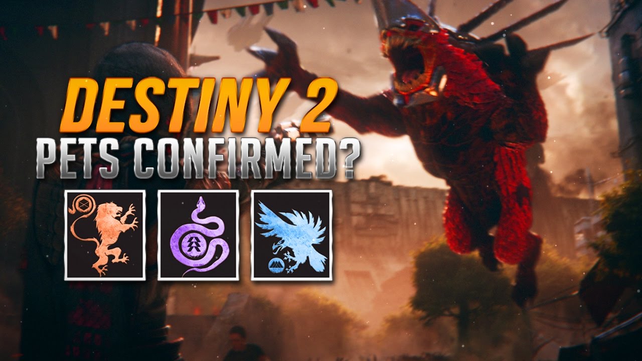 Destiny 2 - PETS CONFIRMED? - YouTube