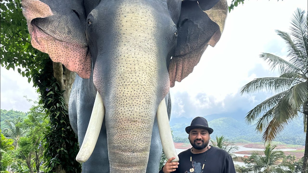 #wayanad Today I have seen the entire Wayanad forest, you should see it ...