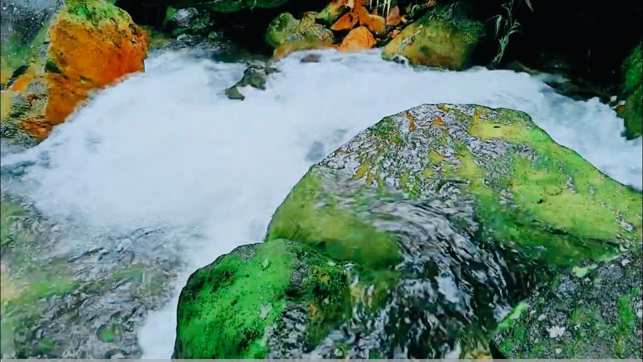 Gentle Stream Sounds | Relaxing Stream Sounds use for Relaxation, Sleep ...