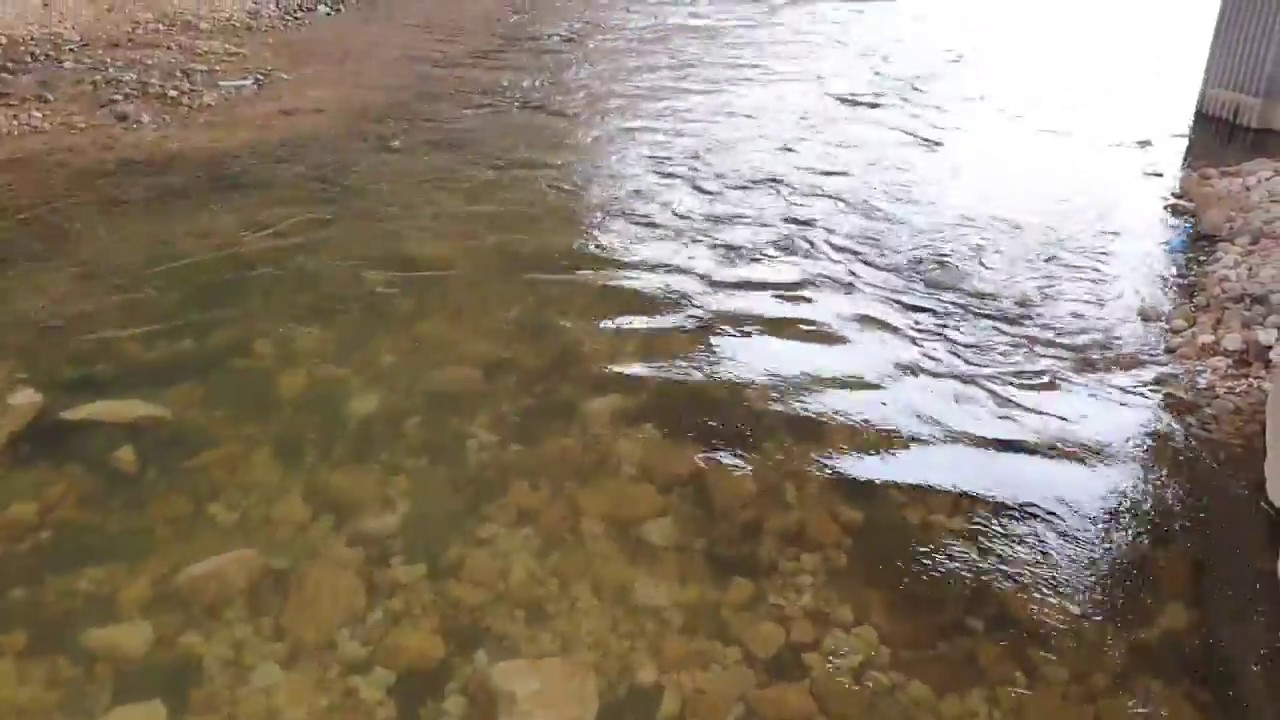 Fishing Spot In Riyadh | Wadi Namar | Riyadh | KSA - YouTube