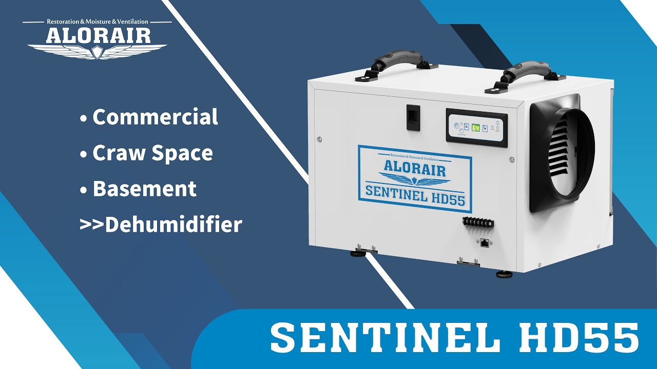 AlorAir Sentinel HD55 120 PPD Basement Dehumidifier - YouTube