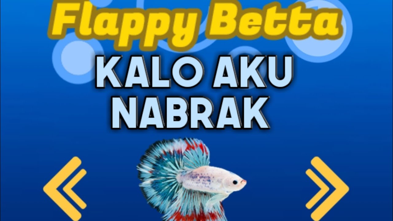 Kalo aku nabrak, aku harus beli ikan cupang | Flappy betta - YouTube