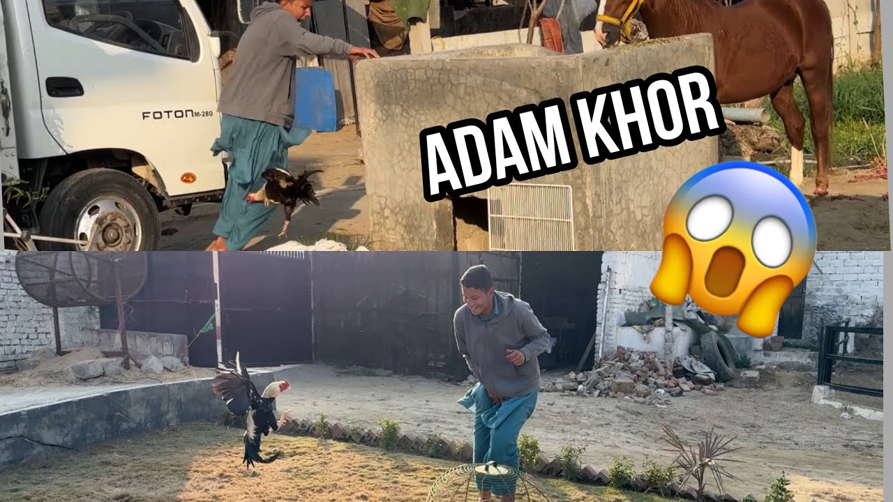 Adam khor murga🐓😱 | full funny scene😂| - YouTube