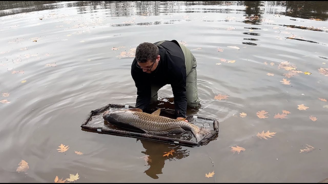 Carp Angler - Carp Fishing in Fall - YouTube