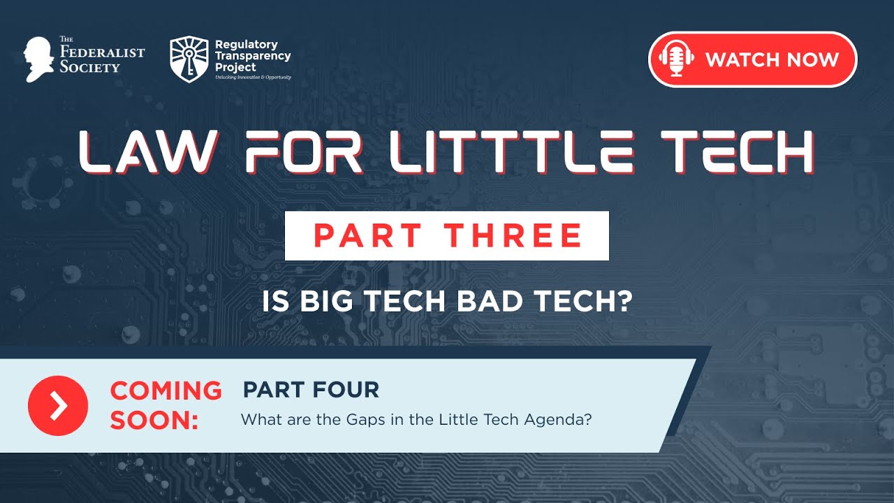 Law For Little Tech: Part 3 - Is Big Tech Bad Tech? - YouTube