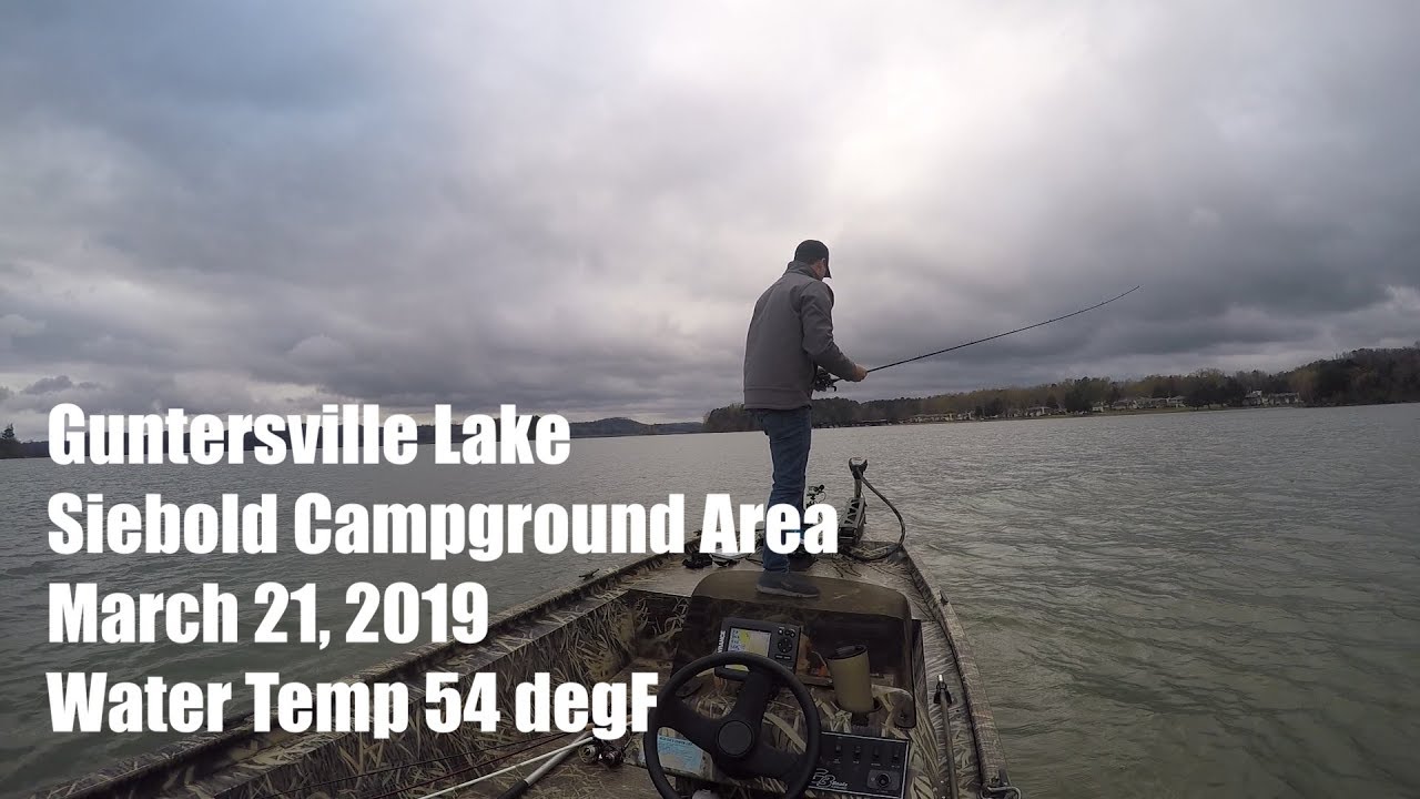 Guntersville Bass Fishing - Spring - March 2019 - YouTube