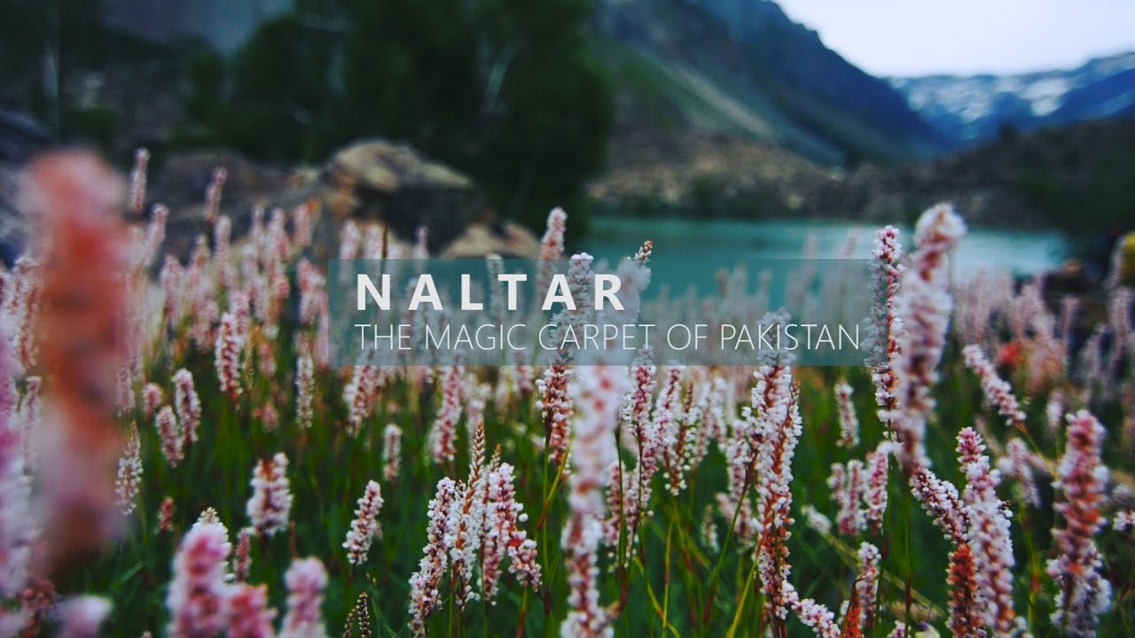 Naltar | Naltar lakes | Satrangi Lake | Road to naltar valley | Naltar ...
