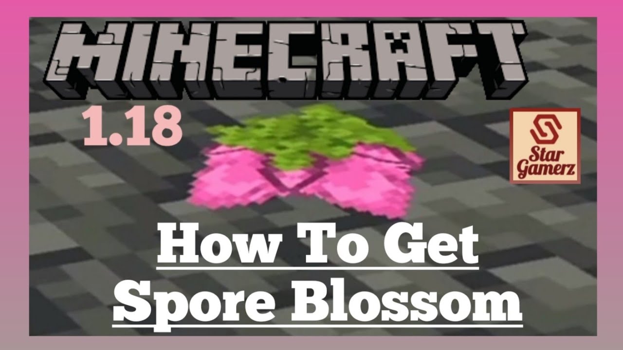 How To Get Spore Blossom In Minecraft 1.18 ?? For Basic Learners - YouTube