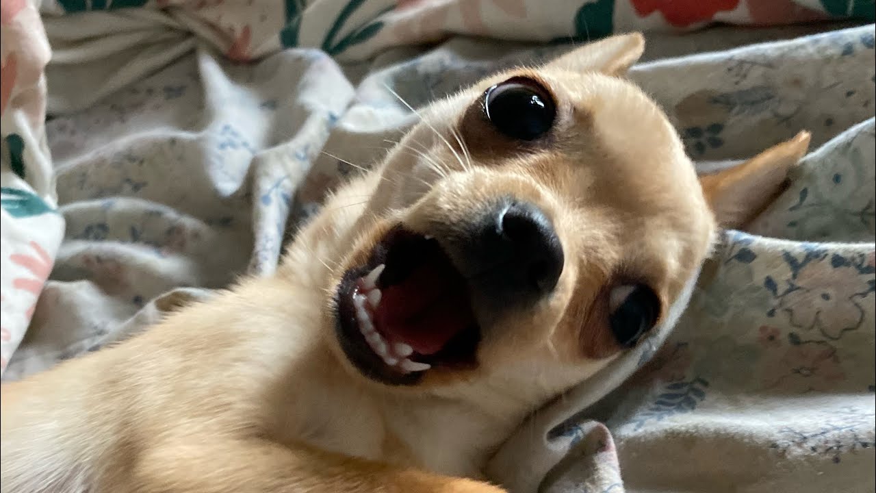 On ft with bestie (funny) (sus warning at the end ⚠️‼️) - YouTube