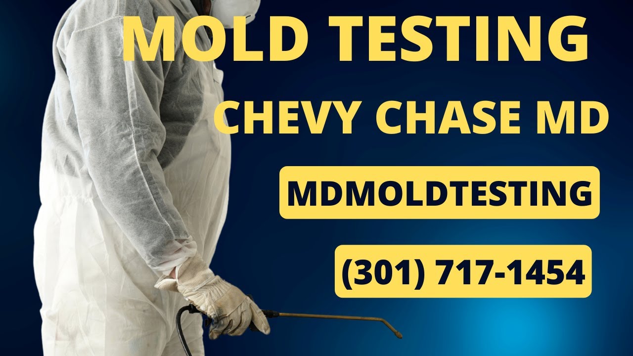 Mold Testing Chevy Chase Maryland - YouTube