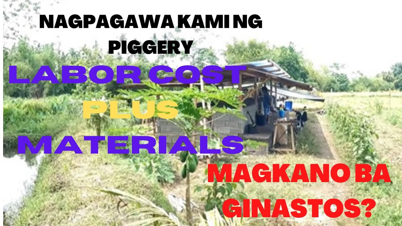 PIGGERY HOUSE MATERIALS PLUS LABOR COST MAGKANO BA INABOT? II MY ...