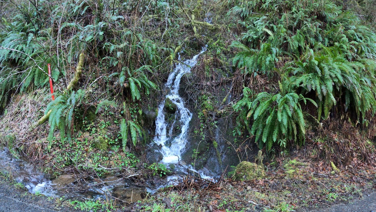 waterfall 12, video 2, 5k 30fps 2880p30 - YouTube