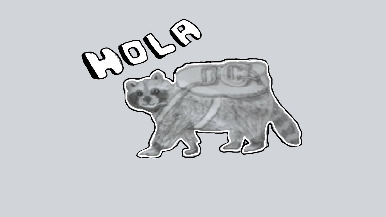 como dibujar un mapache realista - YouTube