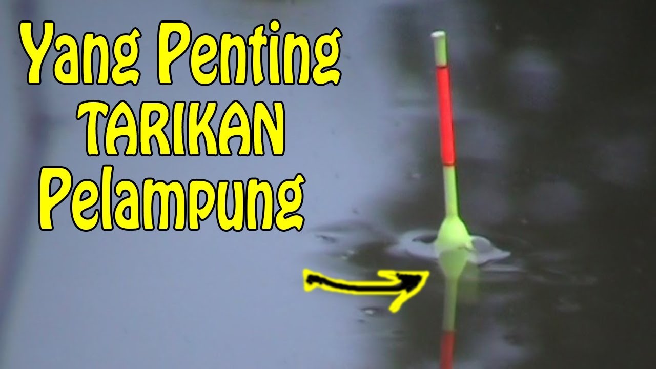 Mancing Blanak PElampung SAMPEK ngEsot begini mantaaap - YouTube