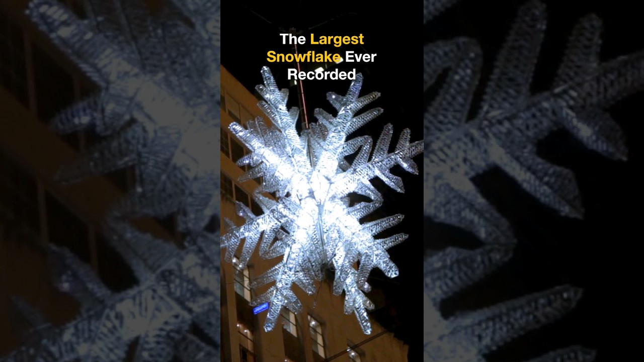 Largest snowflake #worldrecord #snowflakes #usa - YouTube