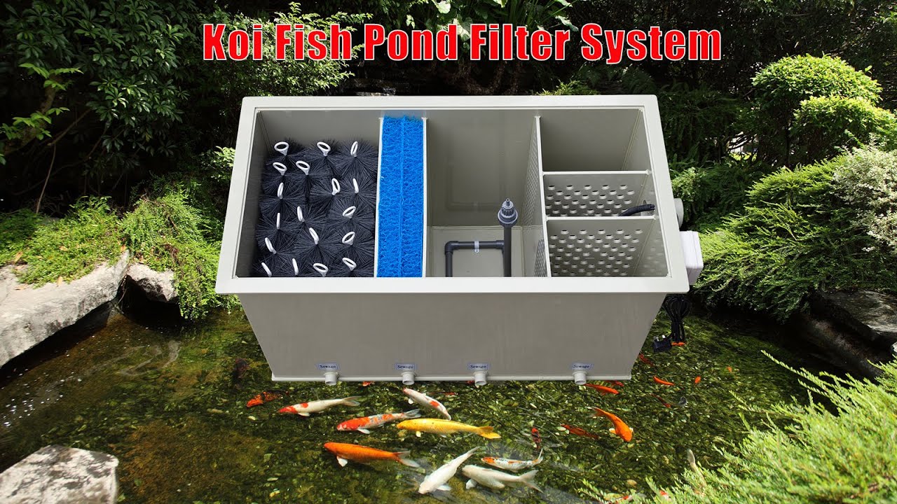 Koi Fish Pond Filter System - YouTube
