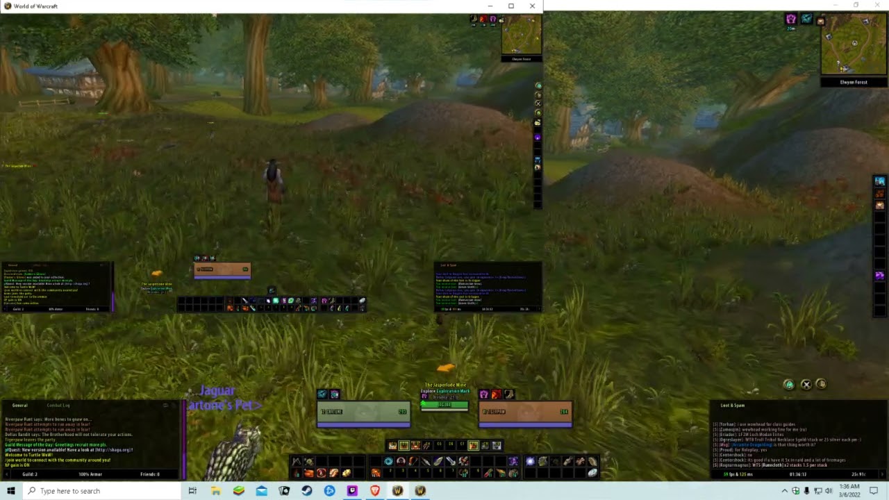 Turtle-Wow: Multiboxing is allowed, but no 3rd party programs. - YouTube