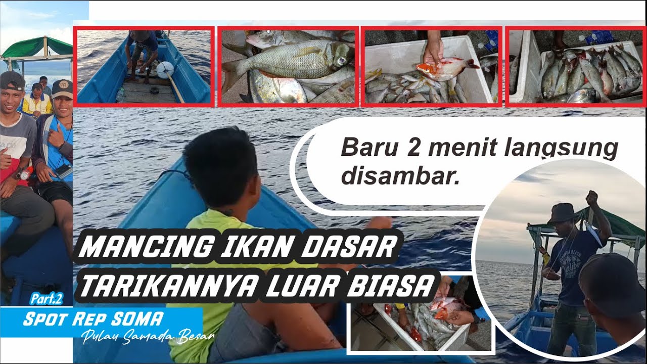 MANCING IKAN KATAMBA DI BALIK PULAU SAMADA BESAR - YouTube