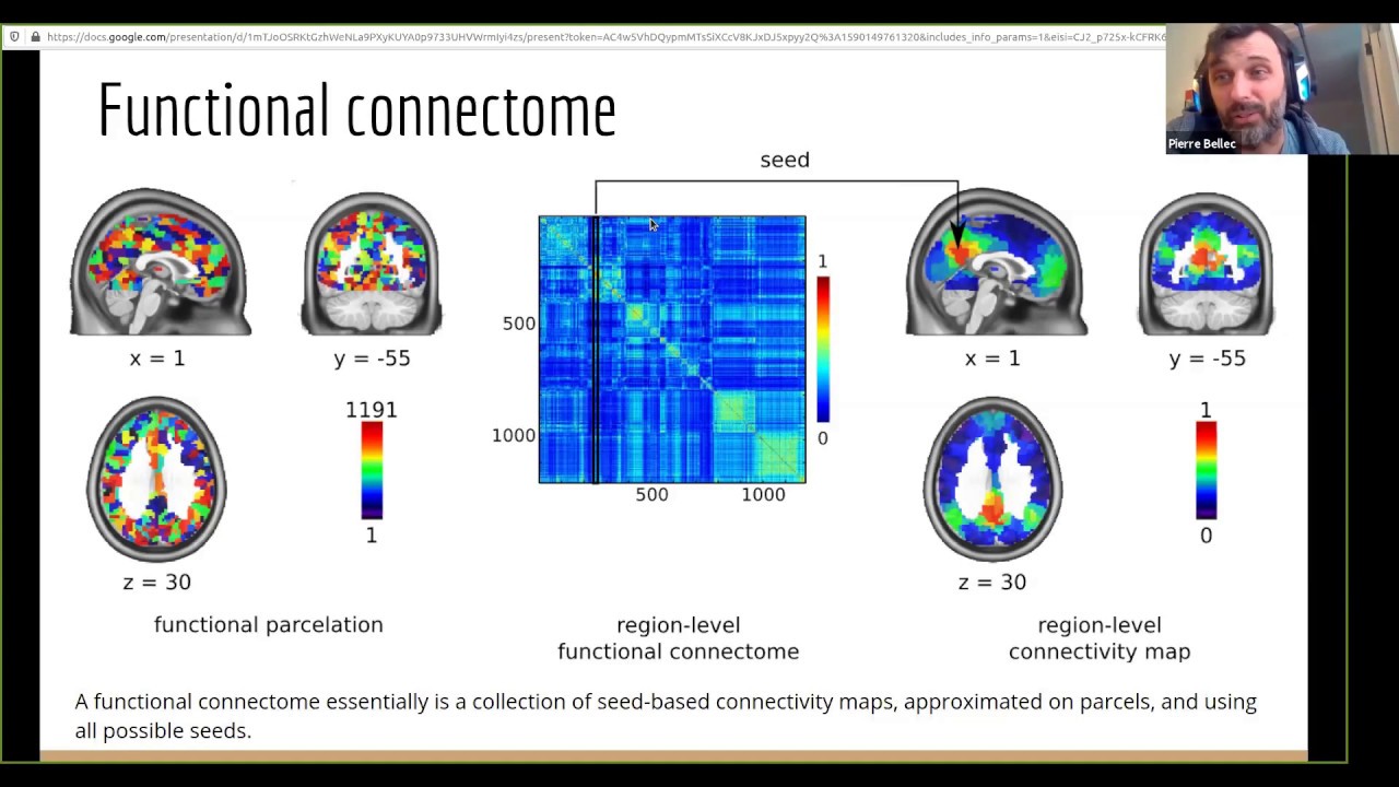 Introduction to brain parcellation (fMRI) - YouTube