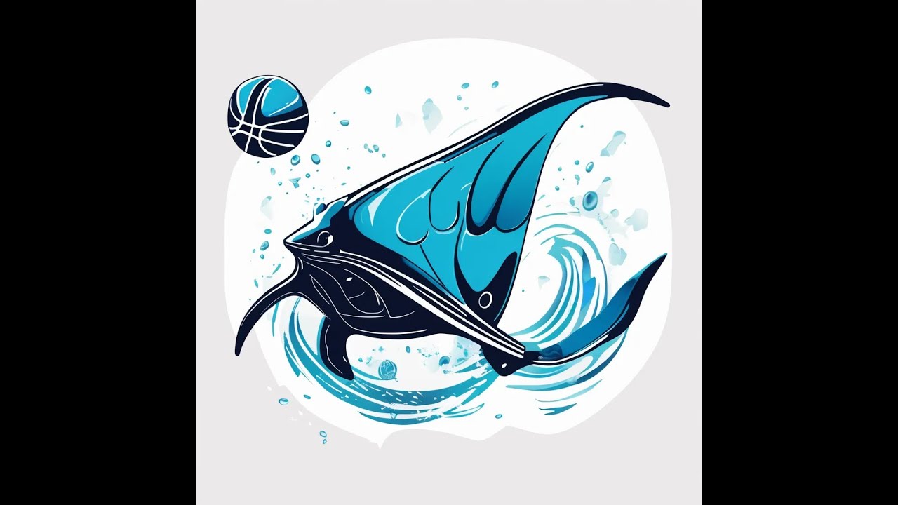 Lady Rays B vs St. John's - YouTube