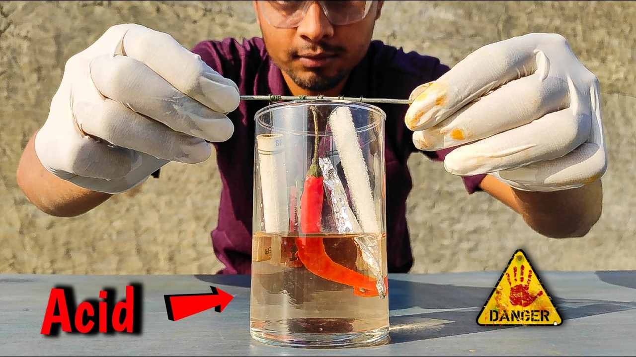 5 items in Hydrochloric Acid || Amazing Acid Reaction || Science ...