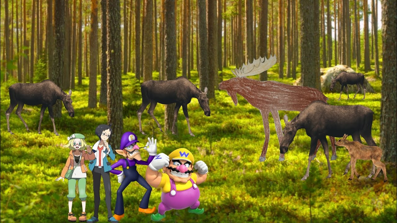 Wario, Waluigi, Cheren & Bianca Dies By A Herd Of Western Moose After ...