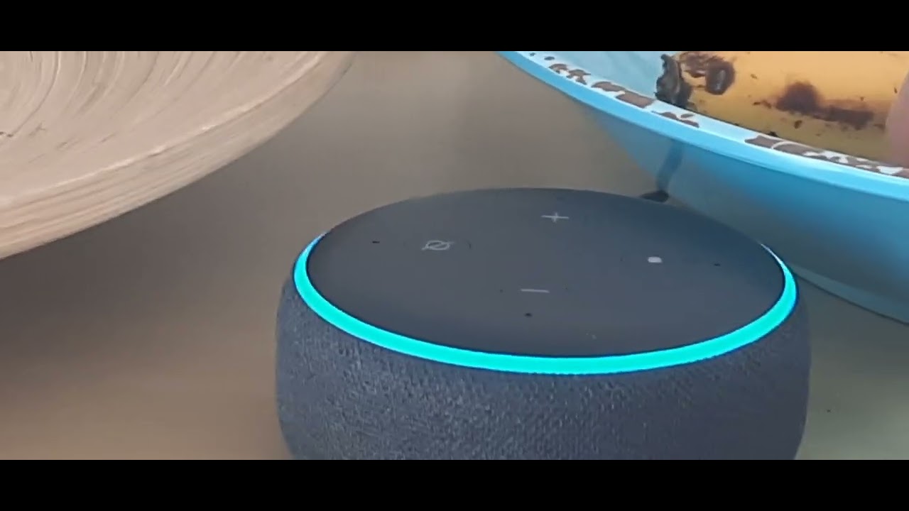 What happens if you ask alexa "poop." - YouTube