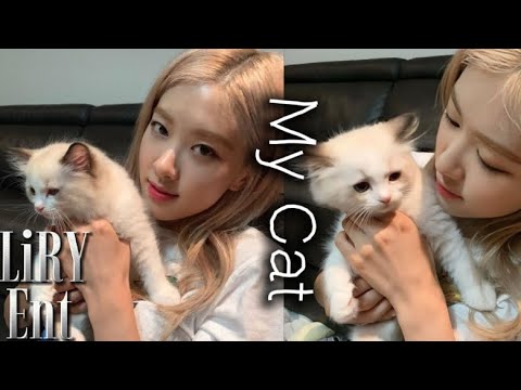 Nini ‘My Cat’ Official MV “The Debut” Chapter 2 - YouTube