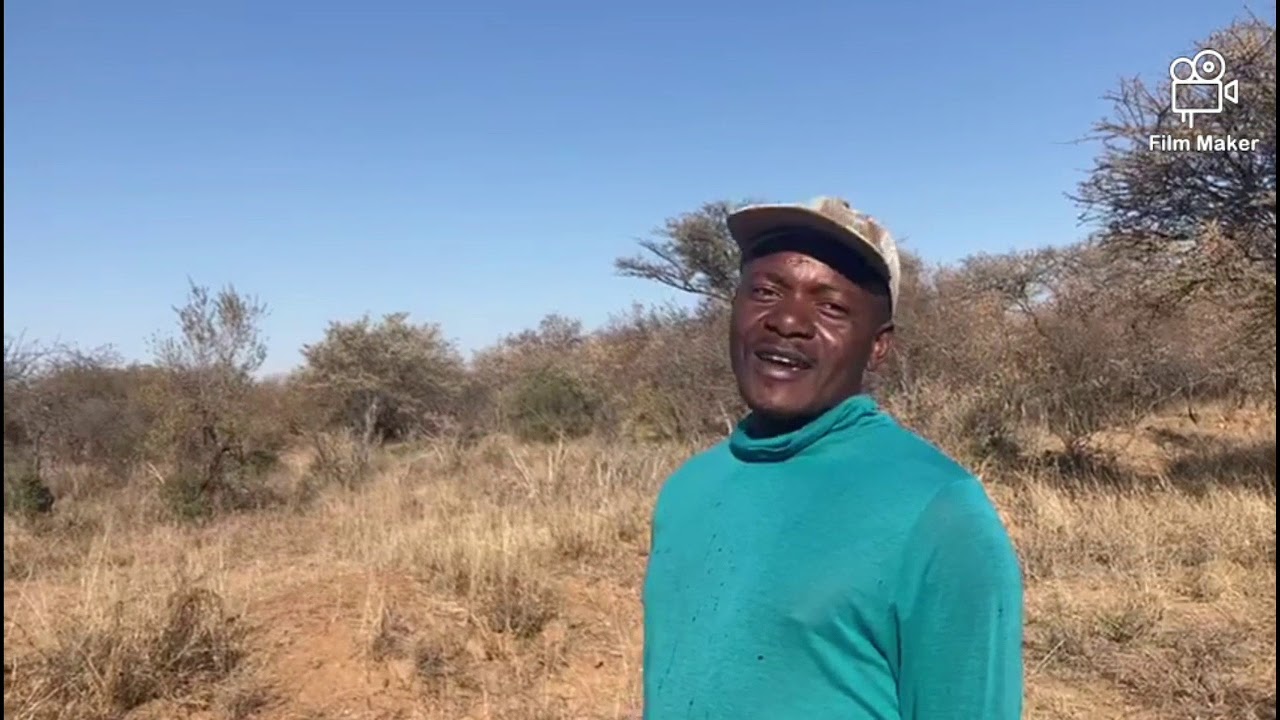 Mianke wild 2020 - YouTube