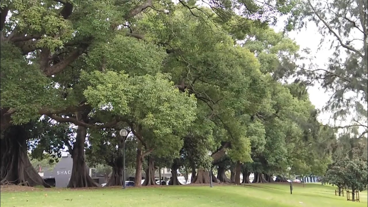 Islington Park On The 9th Of April, 2021 At Between 2:09pm & 3:29pm ...