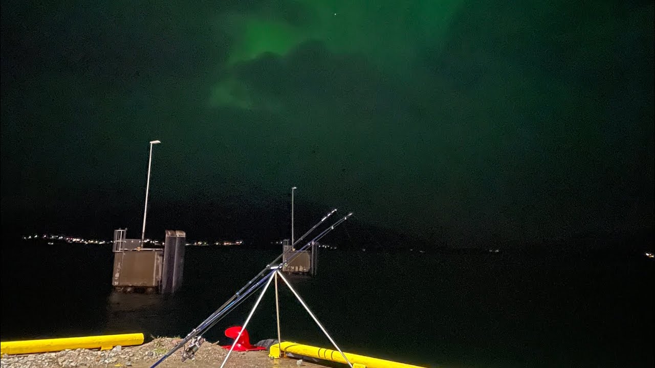 Fishing for Cod under the Northern lights - YouTube
