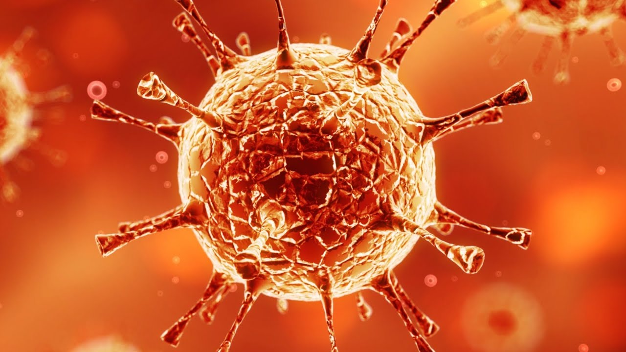 The Deadliest Viruses Still In Existence YouTube the-deadliest-viruses-still-in-existence-youtube