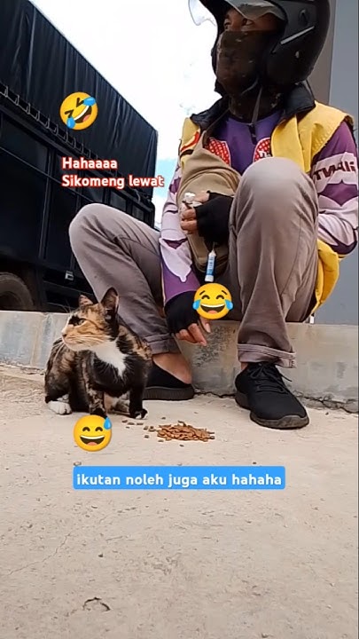 #catlovers gagal fokus gara gara sikomeng Lewat #kucing #kucinglucu #kucingviral #ojol # ...