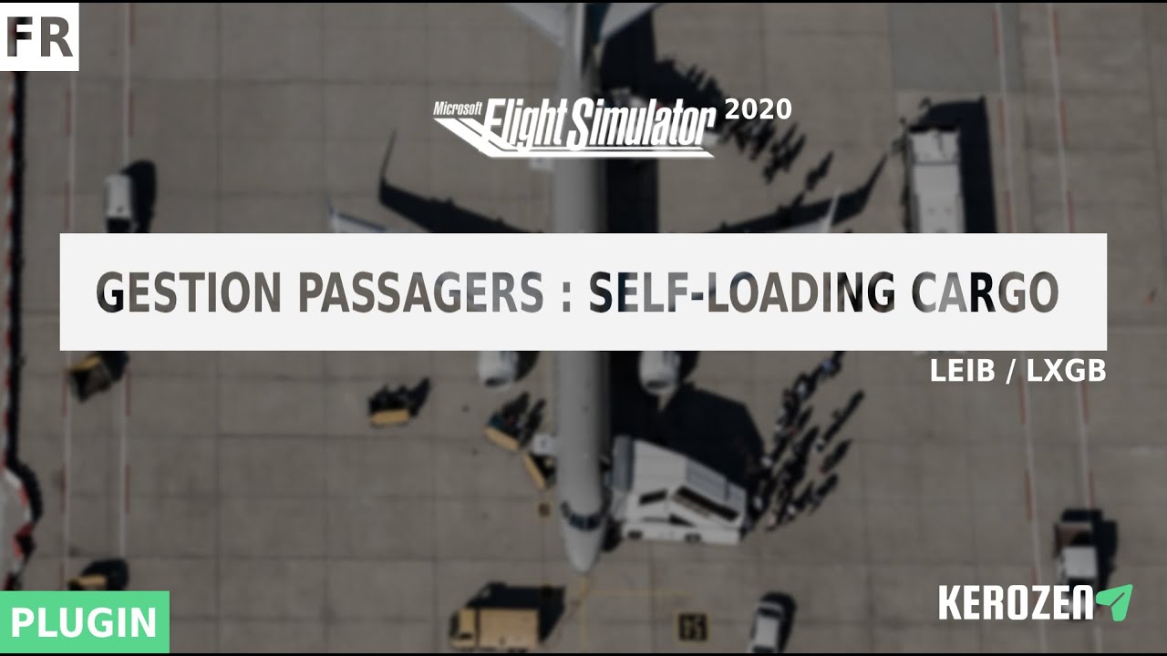 ESSAI SELF LOADING CARGO : GESTION DE PASSAGERS POUR FLIGHT SIMULATOR ...