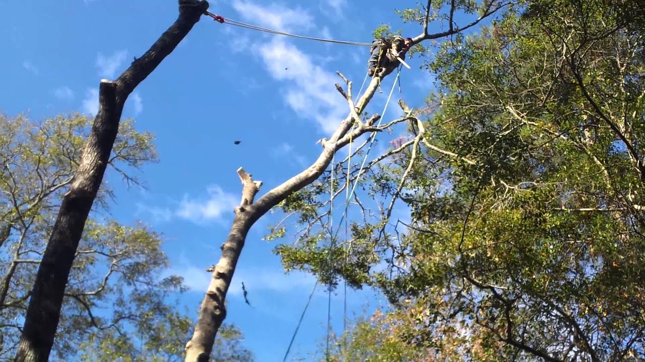 whack'em & stack'em video 1 - YouTube