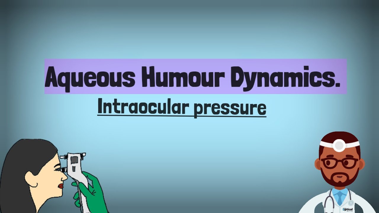 Aqueous Humor pathway: Intraocular Pressure - YouTube