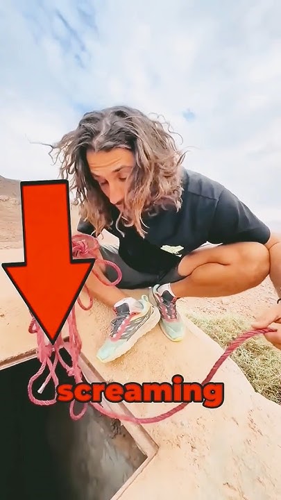 What is happening #pets #facts #animals #duetcats #cute #funny # ...