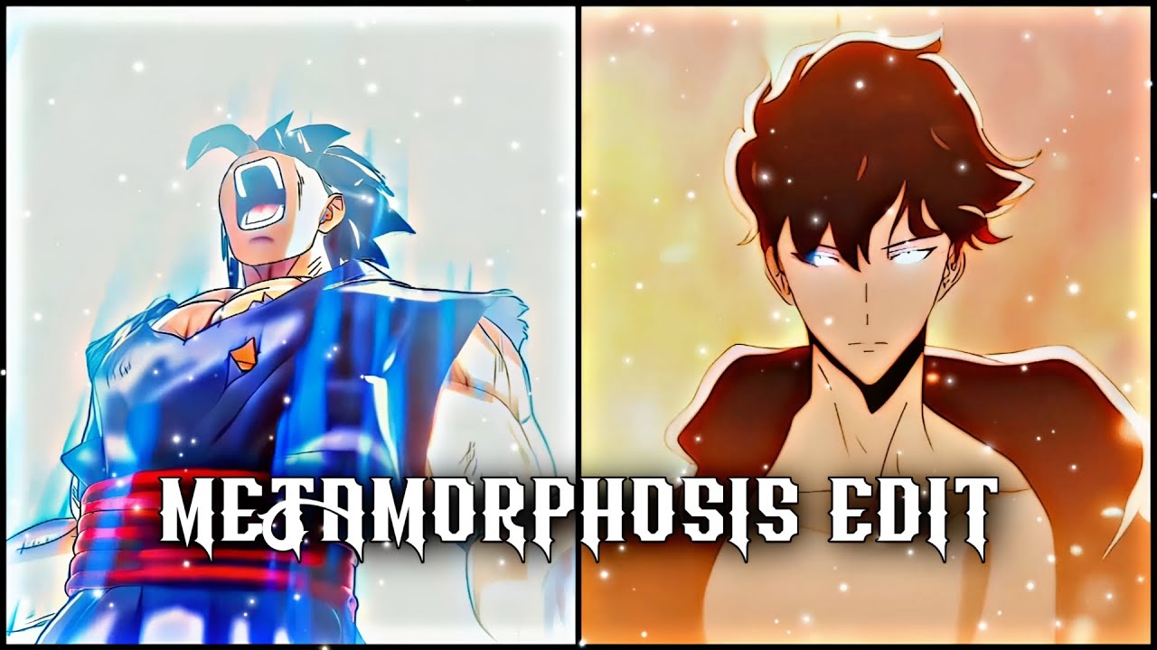 Sung Jin Woo x Beast Gohan - METAMORPHOSIS Edit [AMV] - YouTube