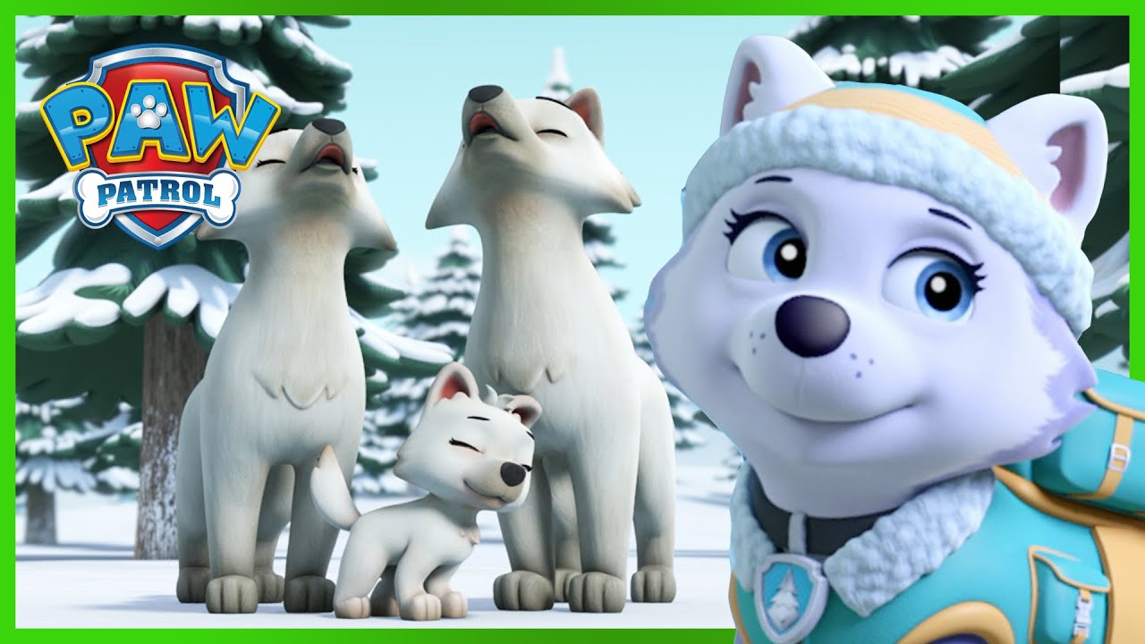 Pups Save a White Wolf - PAW Patrol UK - Cartoons for Kids - YouTube