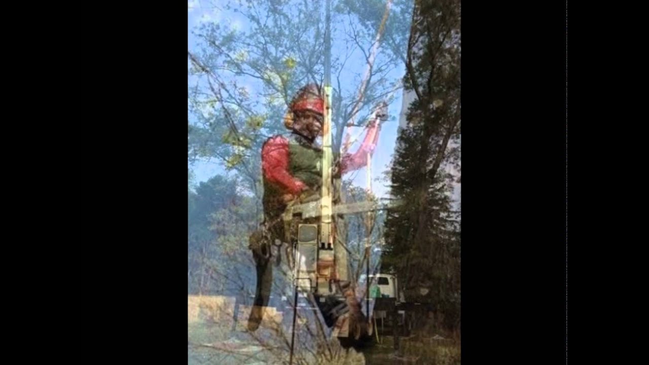 Joe Marra Tree Service - YouTube