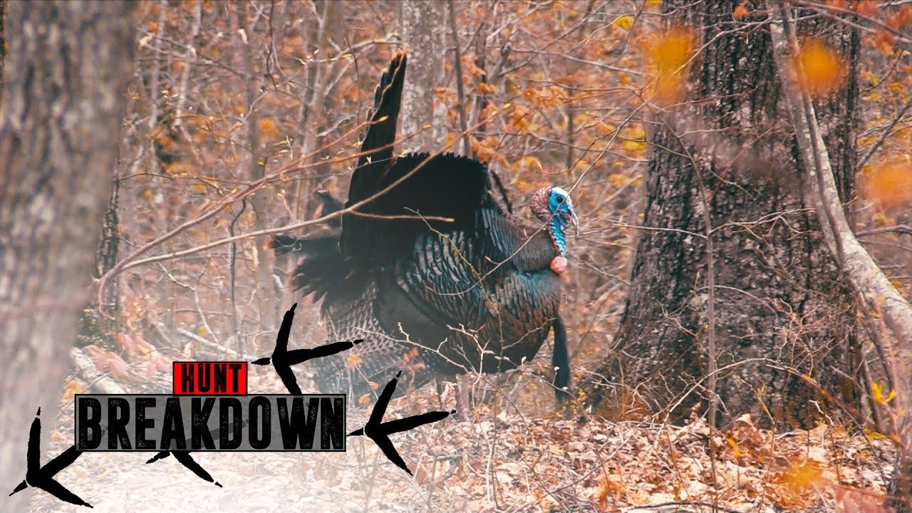 TURKEY HUNTING - HUNT BREAKDOWN #1 - YouTube