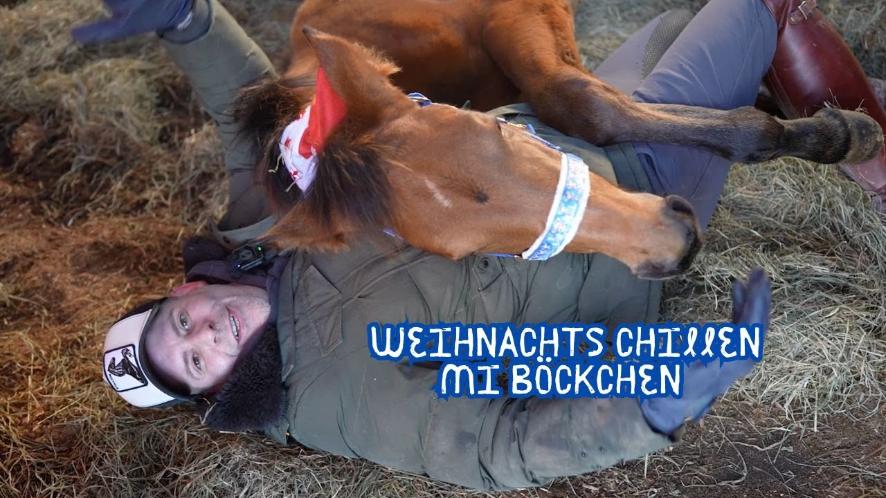 Weihnachts chillen mit Böckchen - YouTube