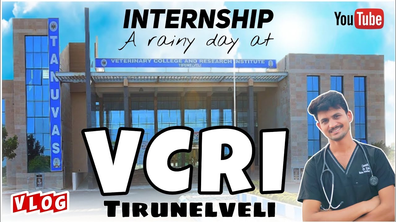 A Rainy day at VCRI Tirunelveli || TANUVAS || Veterinary College ...