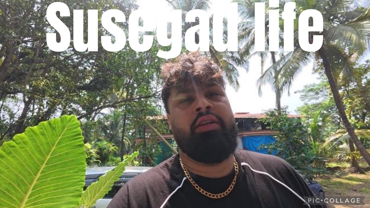 SUSEGAD LIFE IN GOA!! #goanvlogger #konkanivlog - YouTube