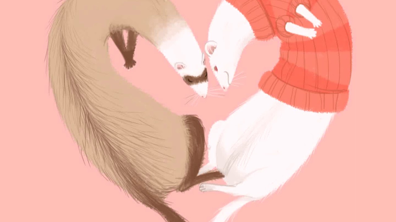 [GOMA]Lovely ferrets Animated Wallpaper - YouTube