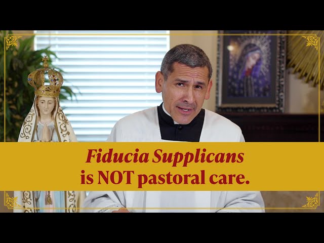 Latest Videos | The Fatima Center