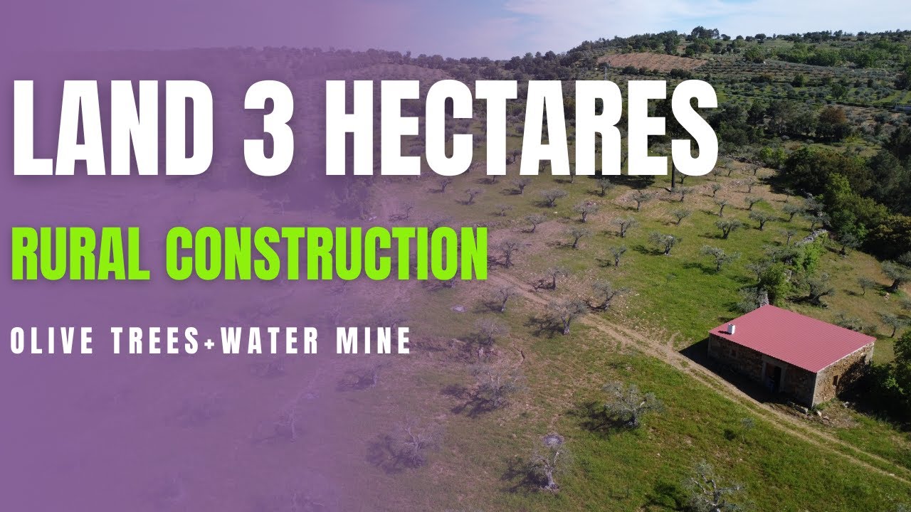 Land 3 hectares olive trees with rural construction - YouTube
