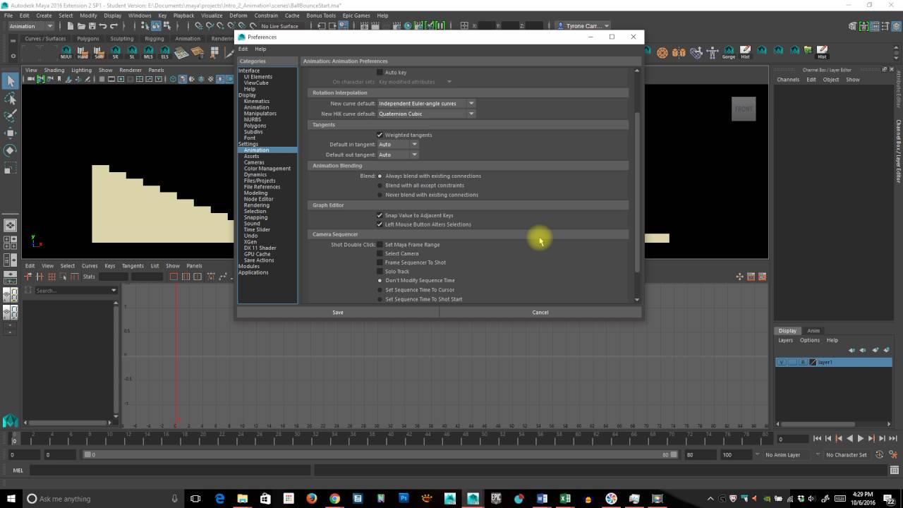 Animation Settings - YouTube