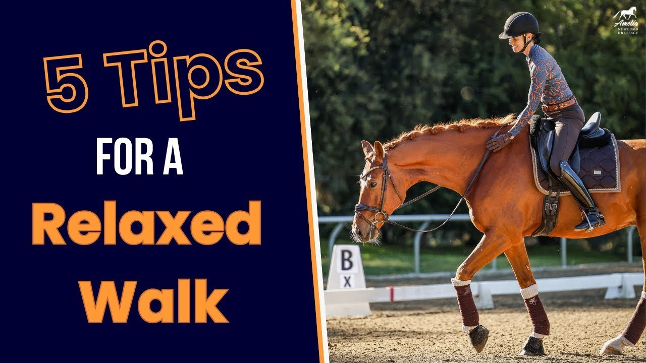 What to do When Your Horse Jigs - YouTube