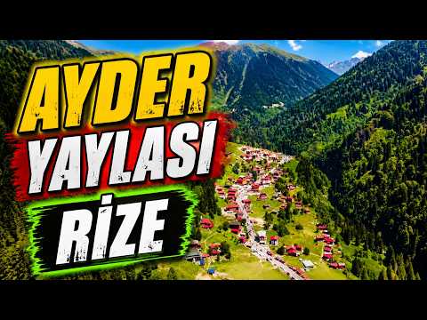 AYDER YAYLASI RİZE ÇAMLIHEMŞİN